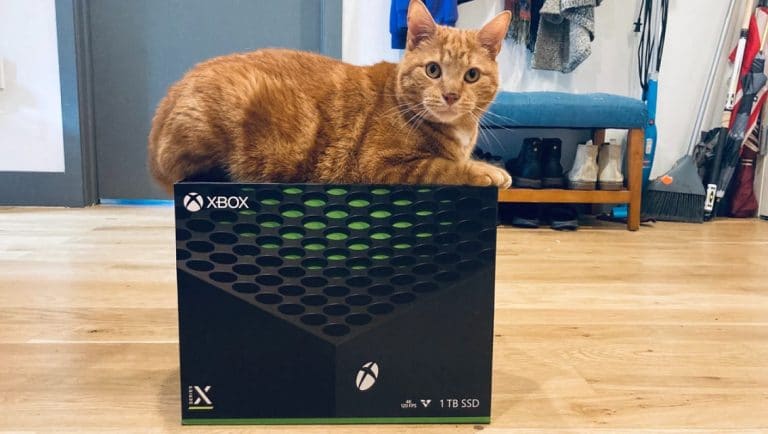 Surge acessório para proteger a ventilação do Xbox Series X dos gatos ...